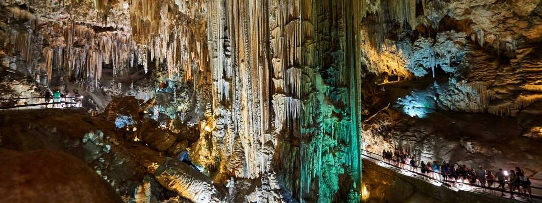 Visita guiada a las cuevas de Altamira 】
